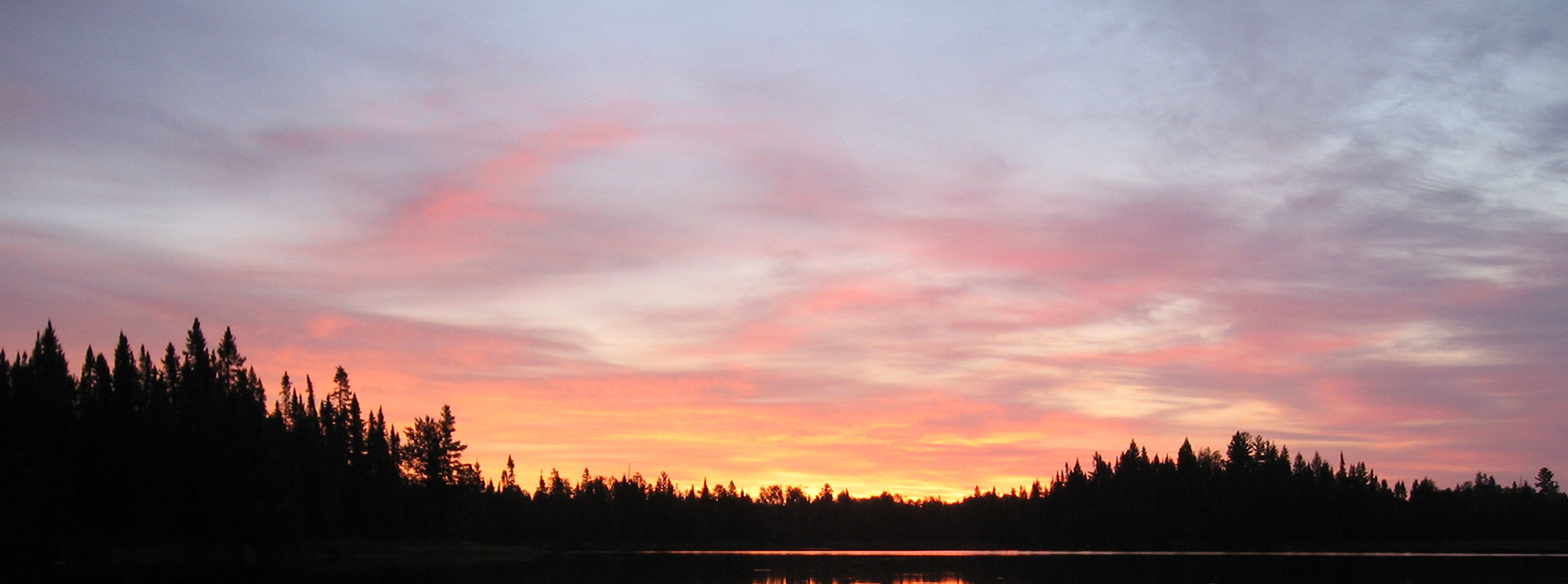 Shop - Julie Jo Larson - Author